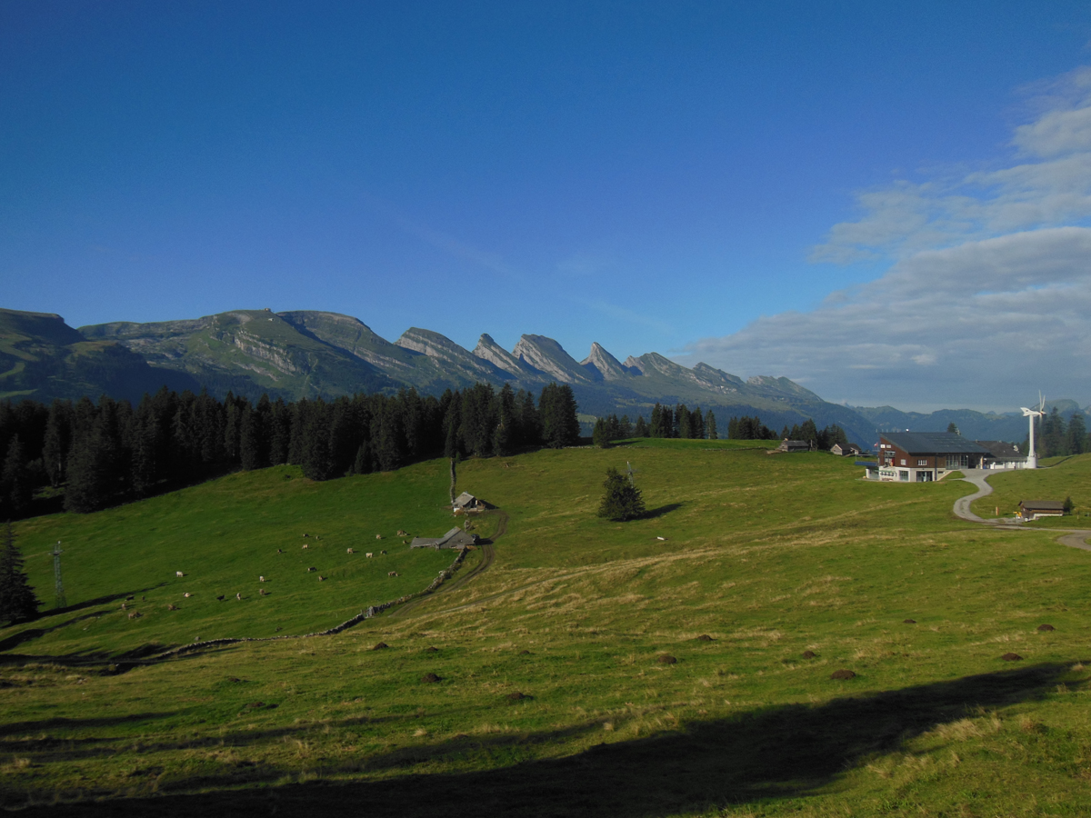 Lebendiger Strom - News + Projekte